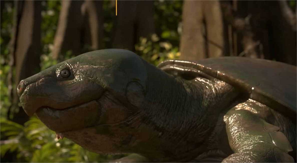 Maturin: conheça a tartaruga gigante da Amazônia de 40 mil anos ...